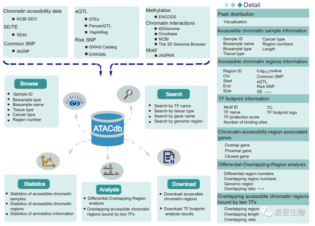 数据库 | ATACdb：一个全面的人类染色质可开放性数据库 - 知乎