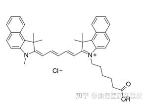 花箐染料CY5.5-COOH CAS：1144107-80-1 Cyanine5.5 COOH在科研实验中的使用说明 - 知乎