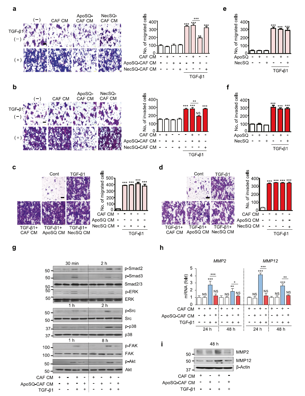 Cellular Mol Immu | 凋亡癌细胞与成纤维细胞相互作用影响癌转移 - 知乎