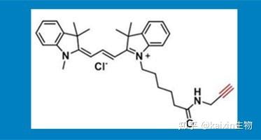 知识汇总：Cyanine3、Cy5、Cy5.5、Cy7 alkyne 几种不同的炔基染料的特点 - 知乎