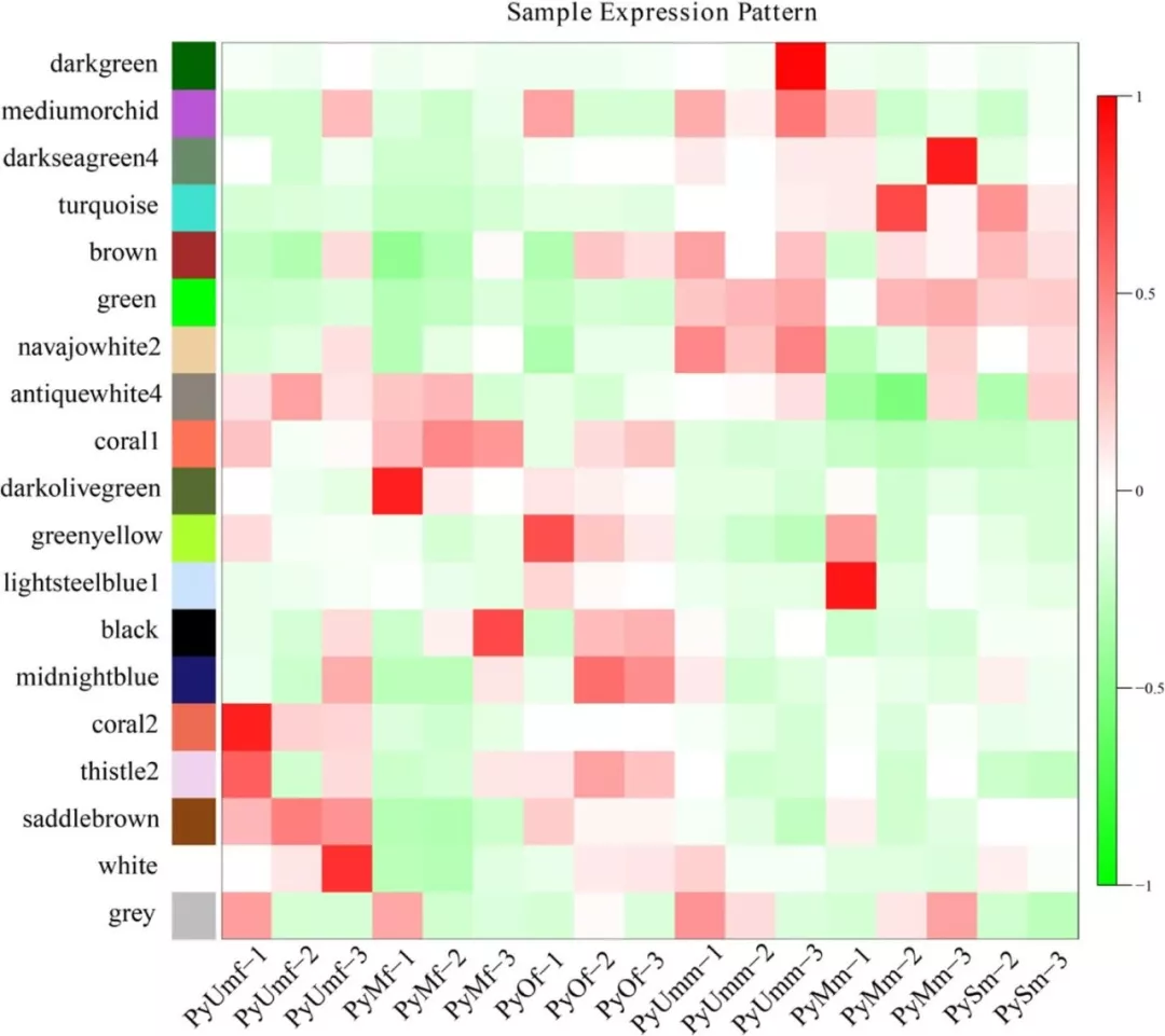 如何利用WGCNA分析转录组数据 - 知乎