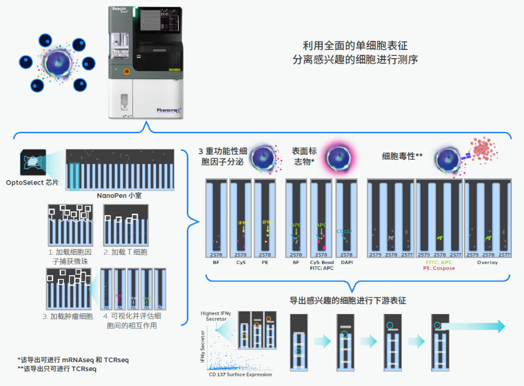 联合使用IsoSpark™和Beacon®平台进行生物标志物发现和T细胞分析 - 知乎