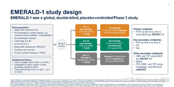 EMERALD-1数据公布，TACE+免疫改变HCC治疗格局 - 知乎