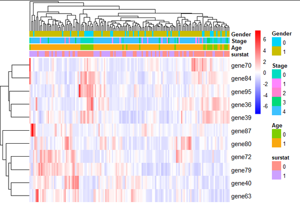 R语言pheatmap绘制基因表达热图 - 知乎