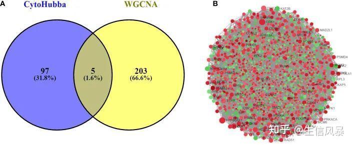 7+差异分析+WGCNA+PPI网络，学会了不吃亏 - 知乎