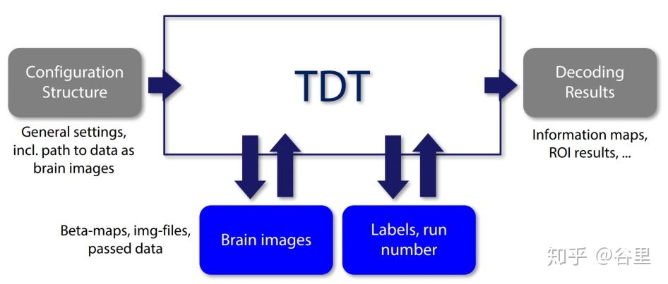 任务态fMRI MVPA解码与the decoding toolbox - 知乎