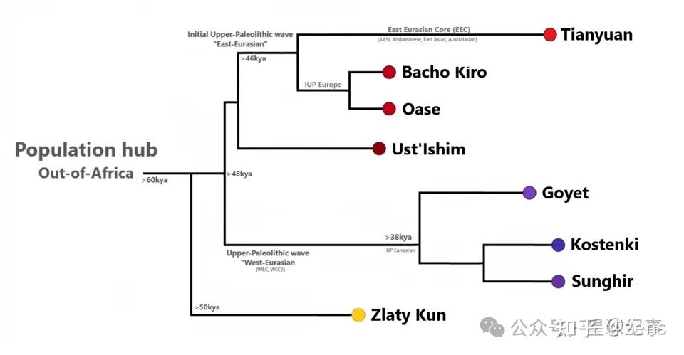 3万年前Sungir人，旧石器时代晚期的豪华墓葬超乎想象 - 知乎