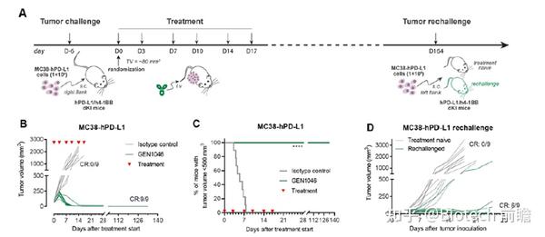 免疫激动剂丨4-1BB单/双抗项目进展 - 知乎