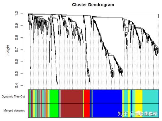 生信人WGCNA系列： WGCNA的R包实操讲解 - 知乎