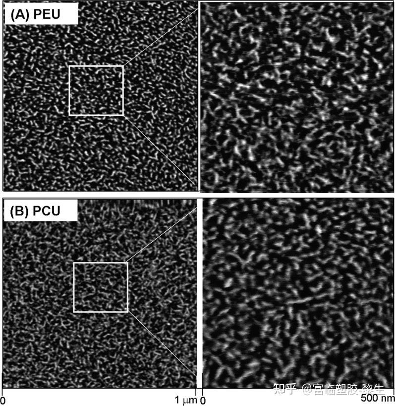 聚碳酸酯聚氨酯PCU和聚醚聚氨酯PEU的生物降解： 体内研究 - 知乎