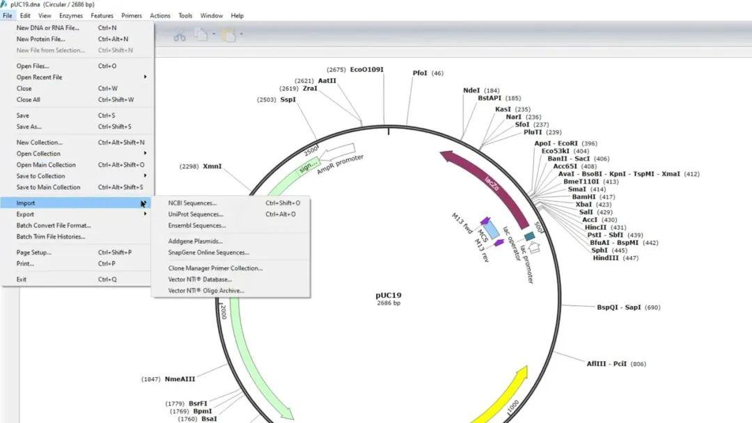 SnapGene 初学者指南 | 如何创建、打开、导入文件 - 知乎