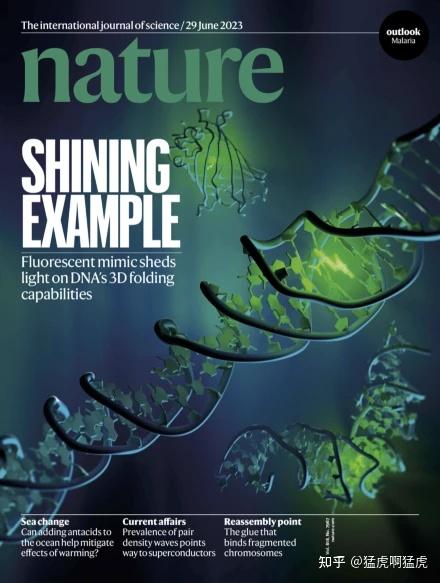 推荐一个可以给《nature》《Science》等顶刊论文润色的公司 - 知乎