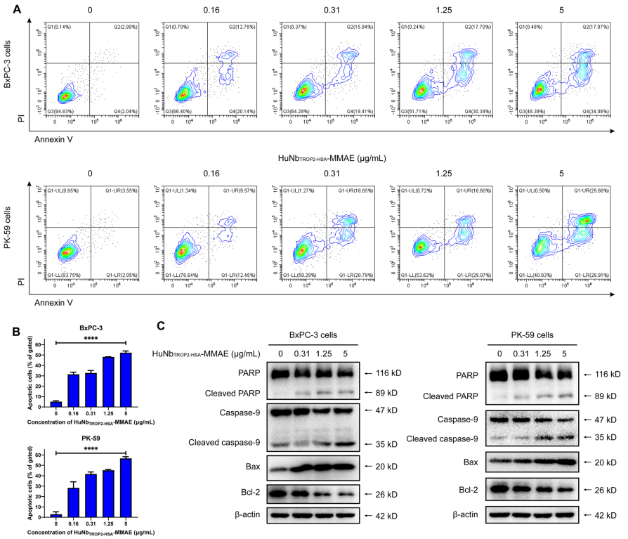 靶向TROP2 的NDC在胰腺癌中展现强效抗肿瘤效果 - 知乎