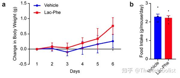 代谢学人——Nature: 运动诱导Lac-Phe，让你吃得少又苗条 - 知乎