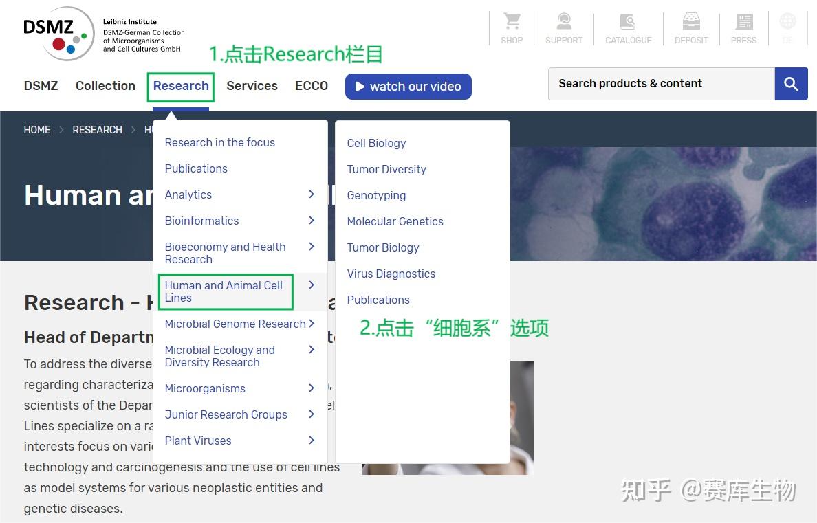 赛库细胞学堂|超详细！细胞数据库及使用方法整理！ - 知乎