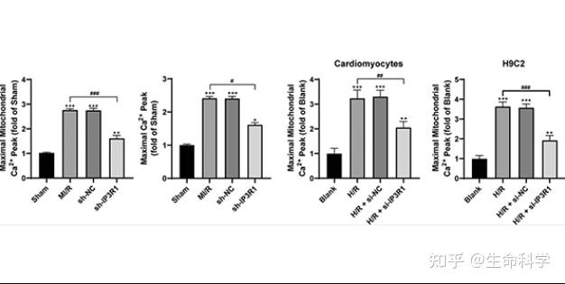 Fluo-4 AM检测细胞内 Ca2+ 浓度的探针 - 知乎