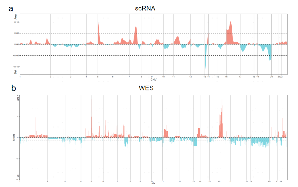 如虎添翼丨新格元scRNA联合WES分析助力肿瘤CNV研究 - 知乎