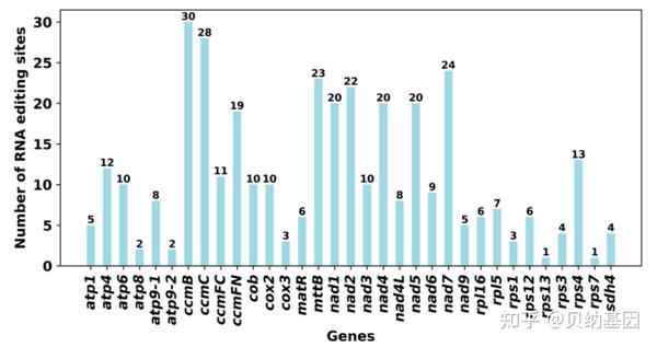 植物线粒体研究专题第二章 — 常规方案及高级研究 - 知乎