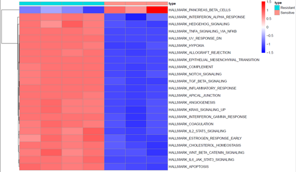 【实战】GSVA基因集热图绘制 - 知乎