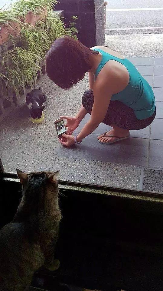 20230327（1）搞笑动物图片 - 知乎