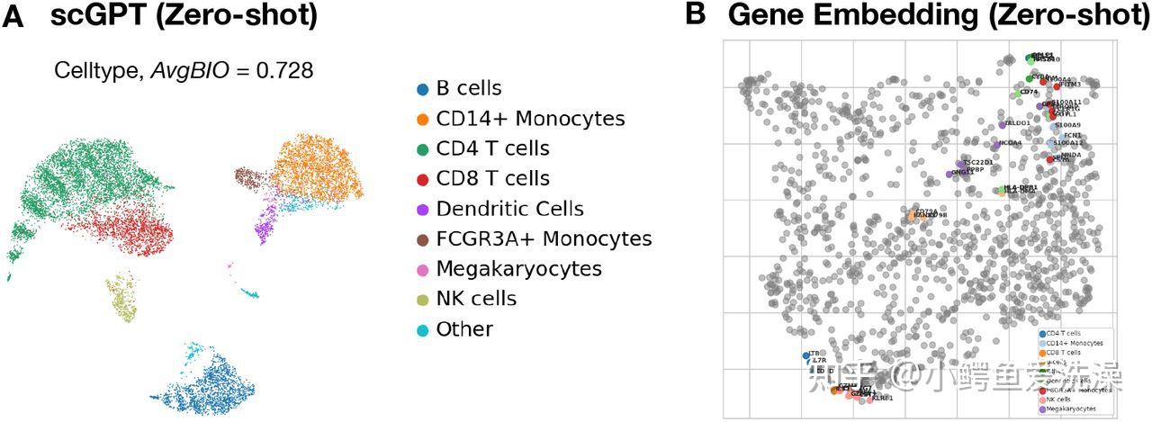 scGPT论文整理 - 知乎