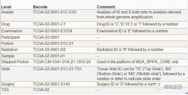 TCGA 概述及 Barcode 详解 - 知乎