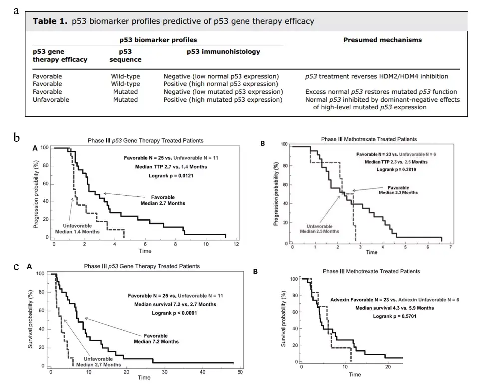 #泛教授读文献# 头颈鳞状细胞癌分子靶向治疗的研究进展 - 知乎
