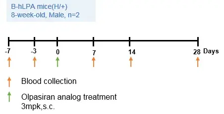 小核酸药物临床前动物模型的选择和应用 - 知乎