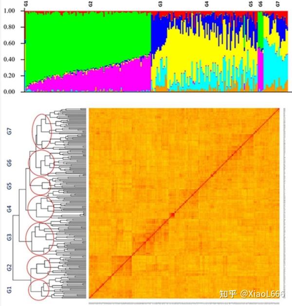常规GWAS分析已经倦怠了？试试GWAS+ML - 知乎