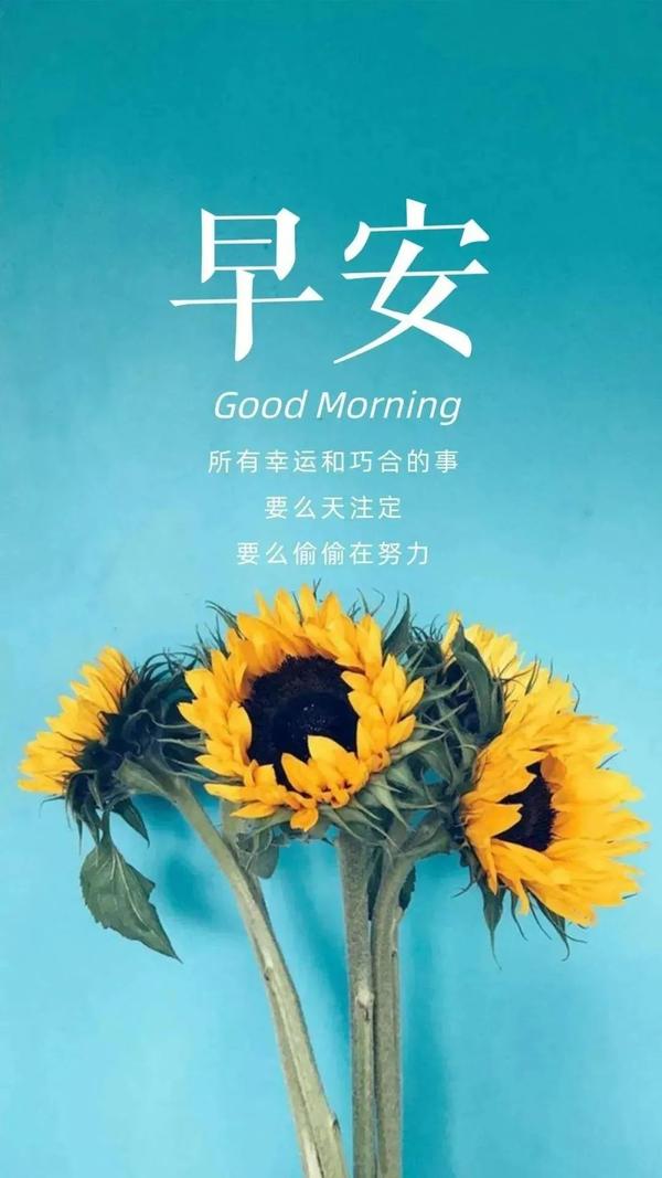 每日一句励志语录,每日一言正能量句子 知乎