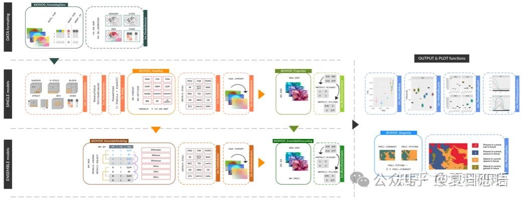 R 语言赋能 BIOMOD2：解析物种分布模型 - 知乎