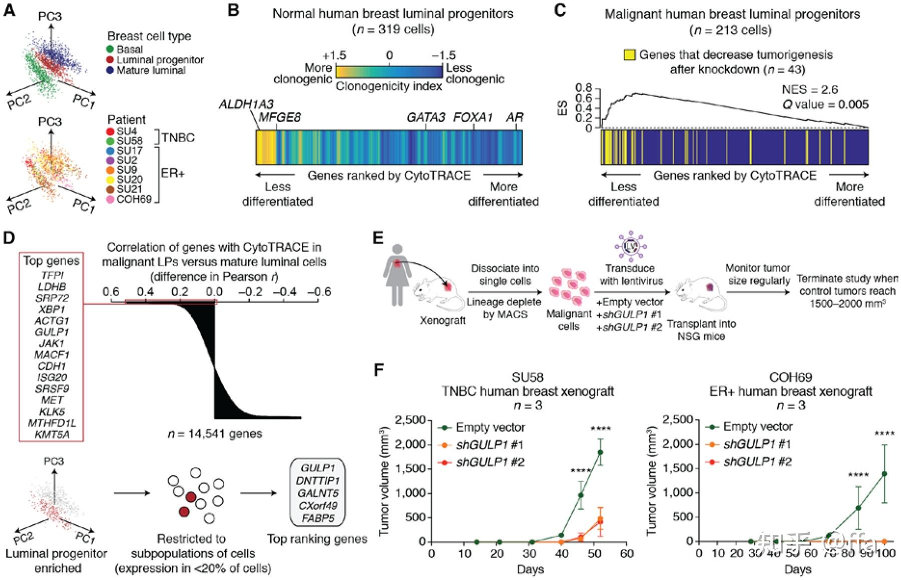 人类细胞图谱计划与单细胞测序49——Cytotrace - 知乎