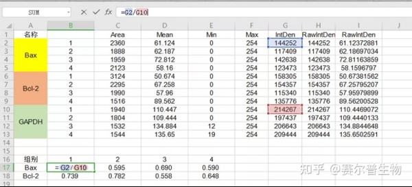ImageJ定量分析 WB 灰度值（详解版） - 知乎