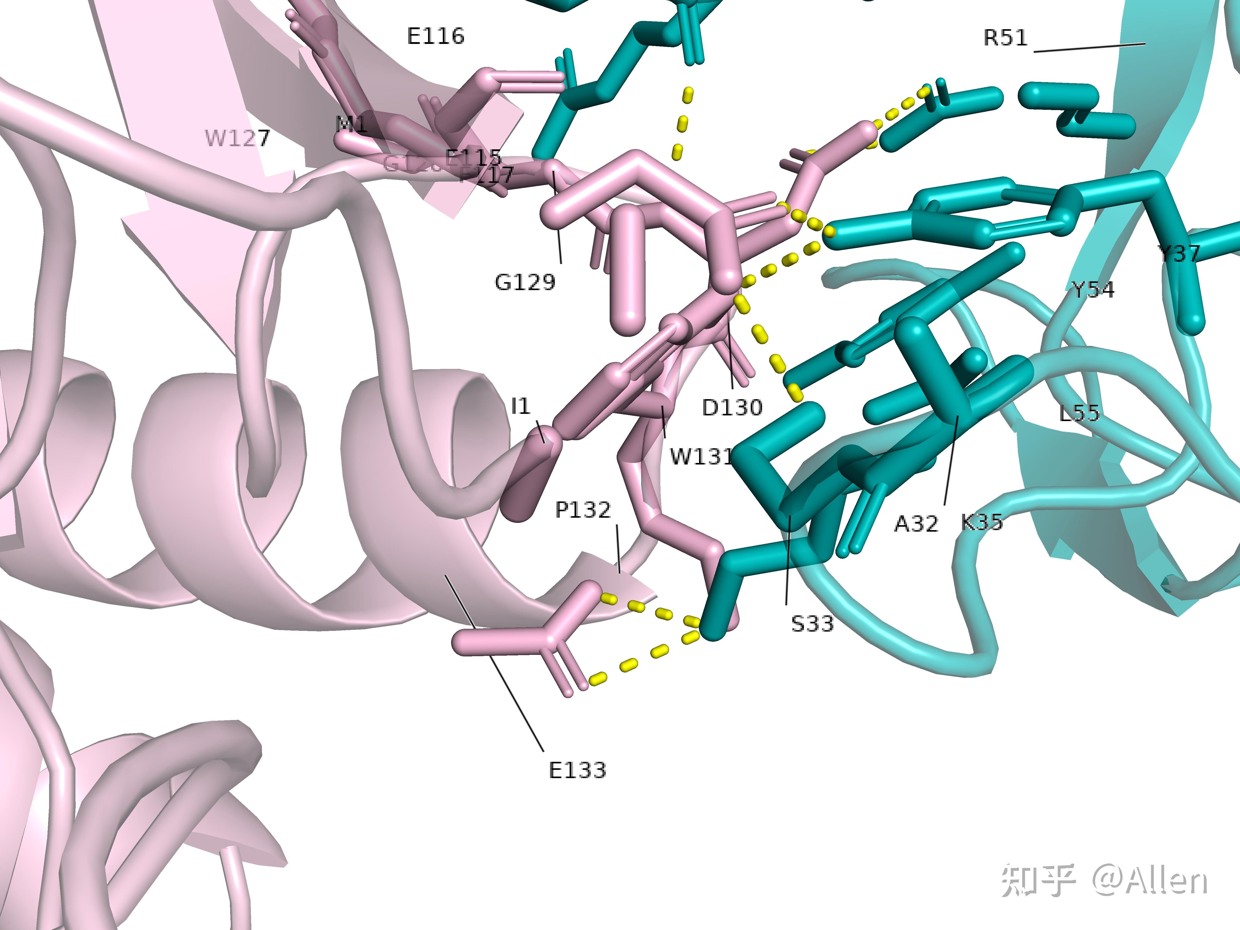 AlphaFold(α-fold)预测蛋白结构及其可视化（pymol）小白教程 - 知乎