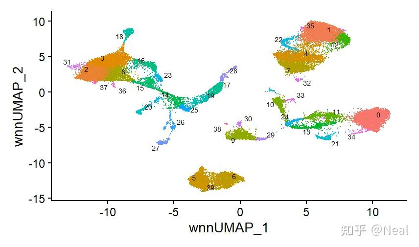 单细胞测序分析：Seurat实操 案例5-1__加权最近邻分析（CITE-seq: RNA + ADT） - 知乎
