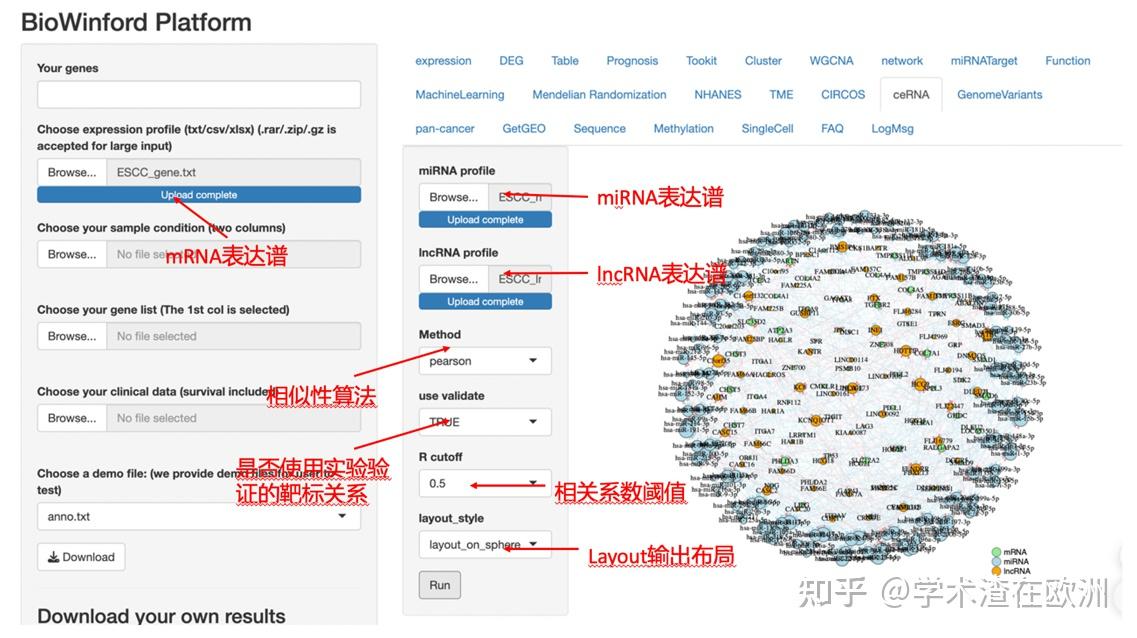 BioWinford全网最全的生信零代码网页工具—ceRNA网络一键分析 - 知乎
