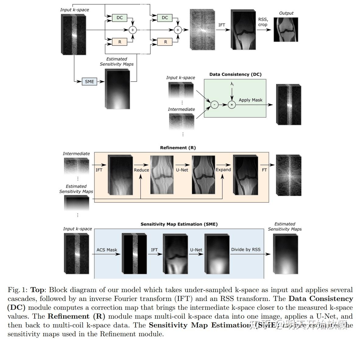 医学图像处理常见任务及其示例 - 知乎