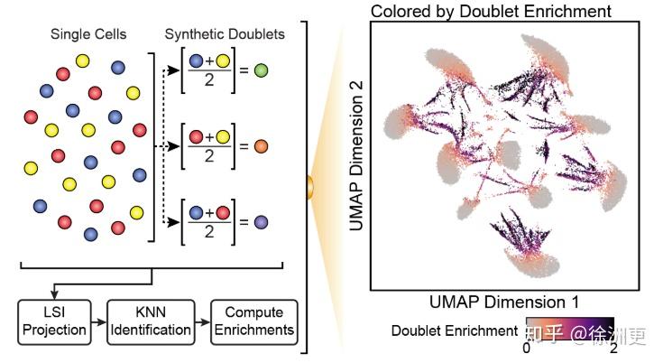 使用ArchR分析单细胞ATAC-seq数据(第二章) - 知乎