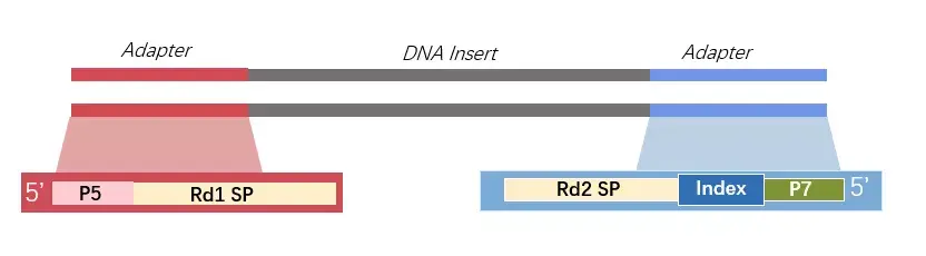 干货 | Index这件小事，你get了吗？ - 知乎