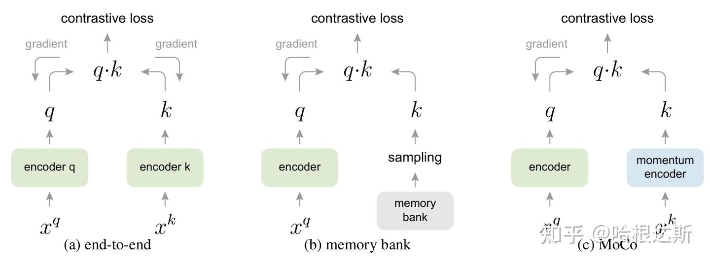 一文贯通图像对比学习技术——从InstDisc、MoCo、SimCLR到DINO系列 - 知乎