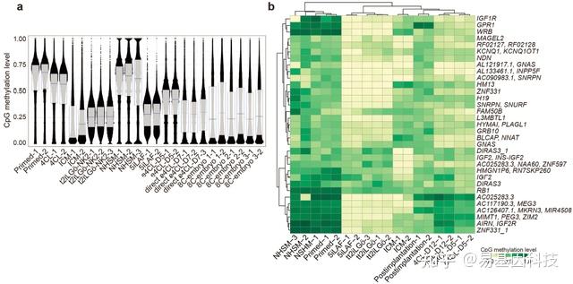 易基因2022年度DNA甲基化研究高分项目文章精选 - 知乎