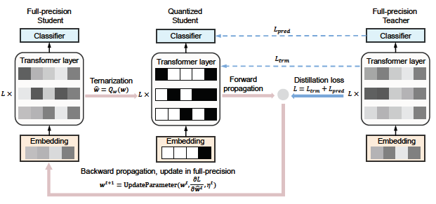 NLP/CV Transformer模型压缩量化行为大赏 - 知乎