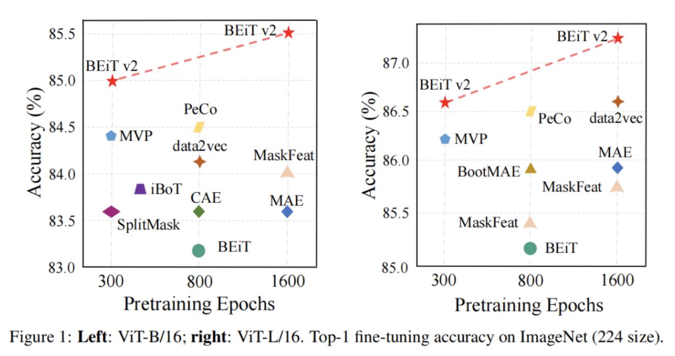 超越 MAE，实现 ViT微调自由！自监督的视觉表示模型 BeiT v2 开源 - 知乎