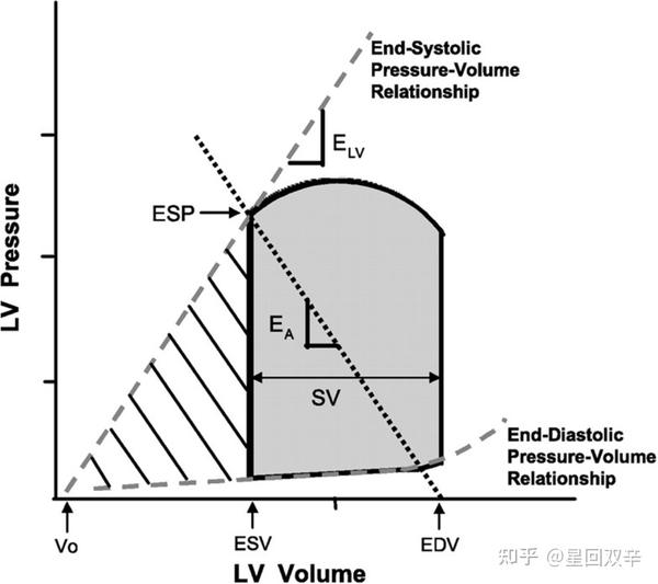 左心室压力-容积环（Left ventricular pressure-volume (PV) loops） - 知乎