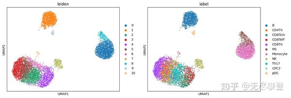 动手学单细胞分析-提升-4.7 降维之Transformer+HVG - 知乎
