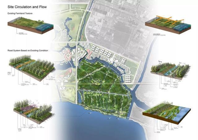 构建生态修复成功样板 合肥滨湖国家级湿地森林公园 知乎