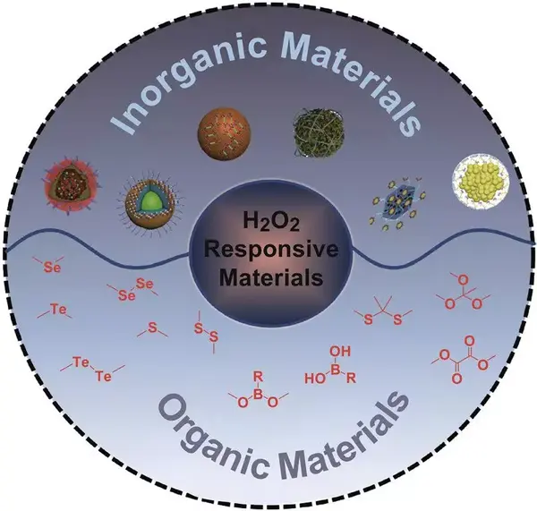H2O2响应材料在肿瘤光动力治疗中的最新进展 - 知乎