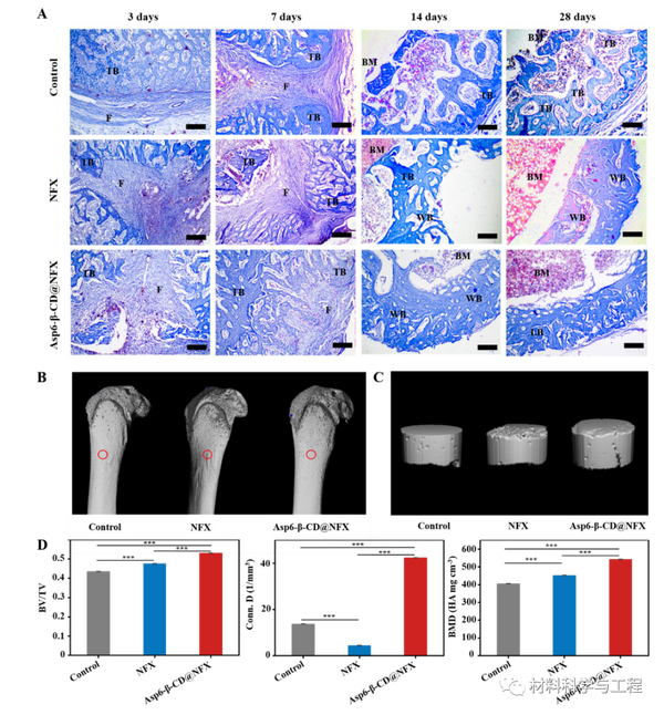 西南交大：一种新型骨靶向给药系统，有效解决骨感染的局部治疗问题 - 知乎