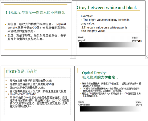 western blot是为了什么？ - 知乎