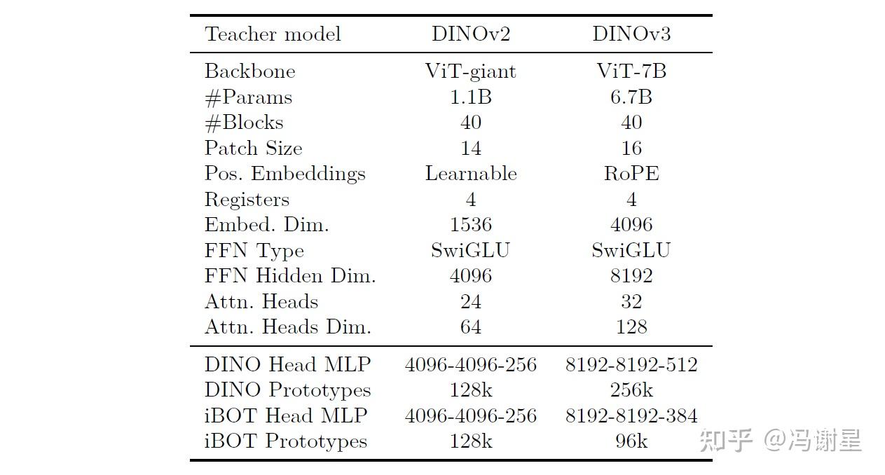 最强视觉自监督模型DINO系列超详细解读：DINO / DINOv2 / DINOv3 - 知乎